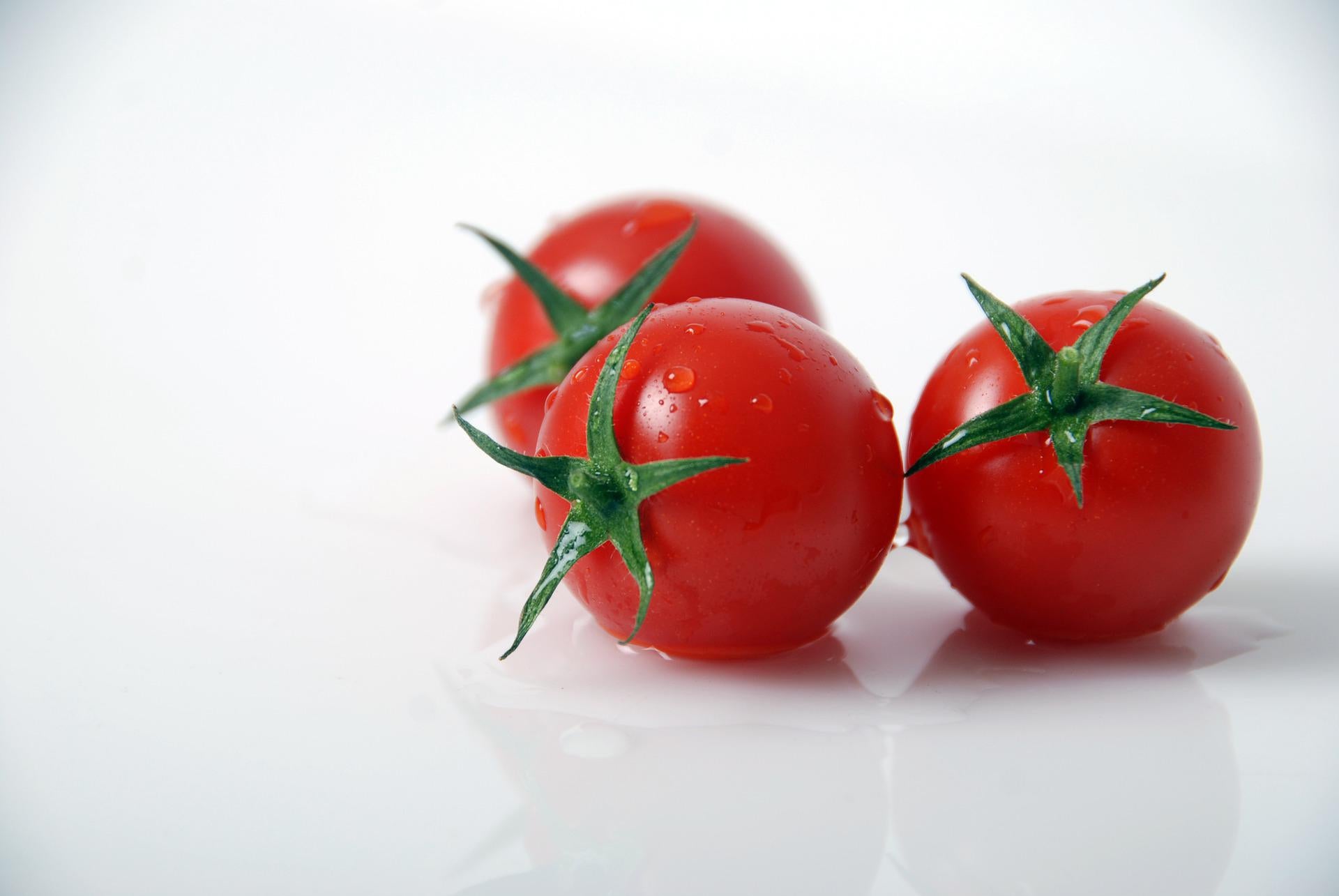 Open Pollinated Varieties of Plants and Seeds.